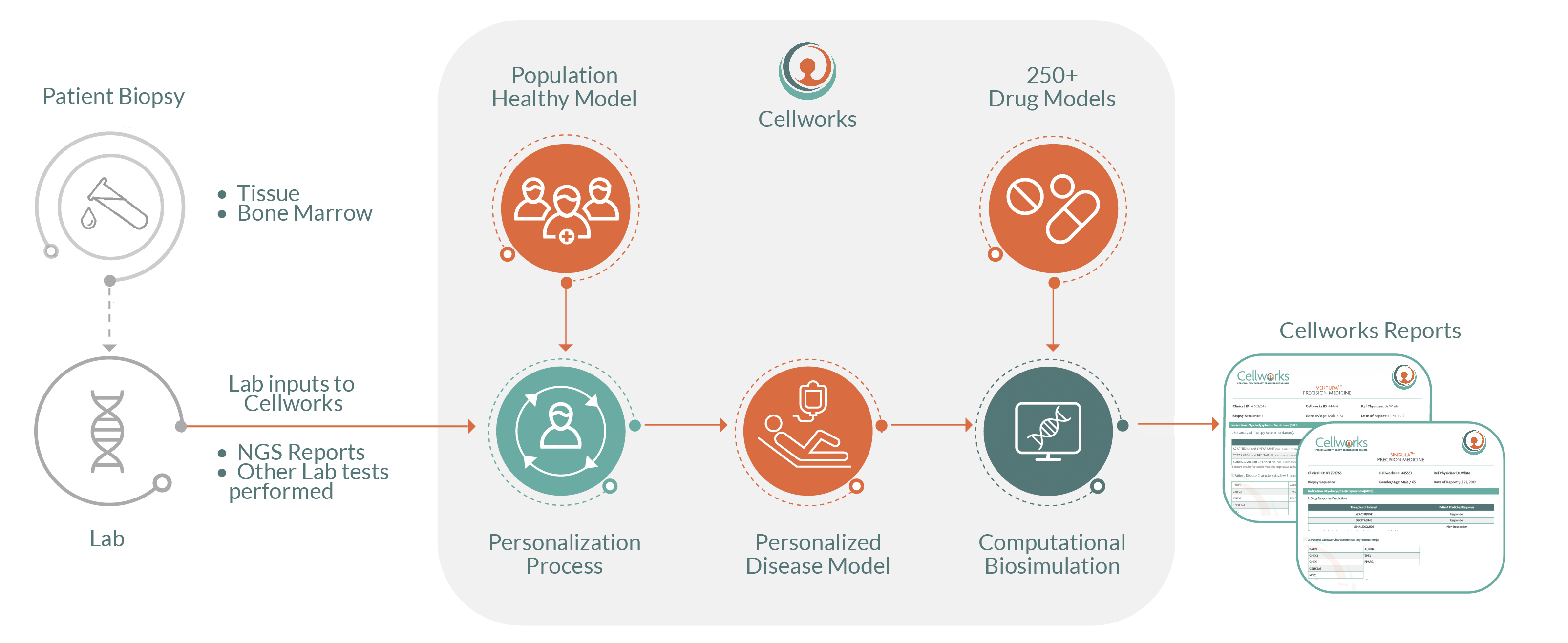 Cellworks | Personalized Cancer Therapy
