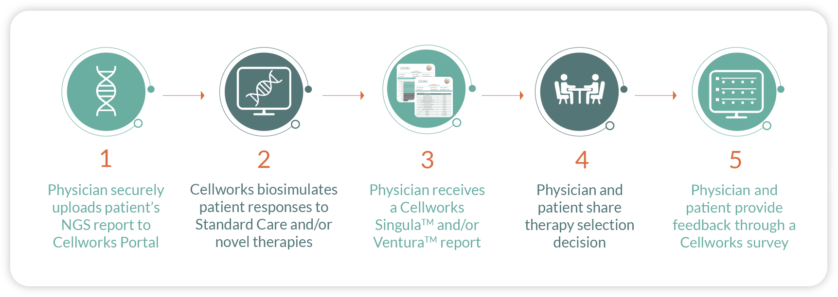 Cellworks | Personalized Cancer Therapy